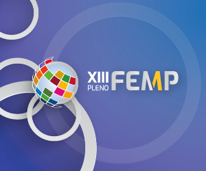 FEMP - Federación Española de Municipios y Provincias